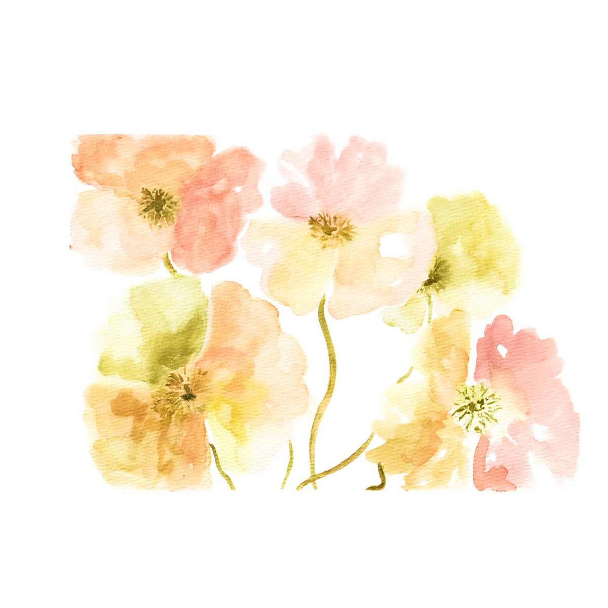 Framed Original Watercolor Poppy- Adelaide Designs – Trends By Design
